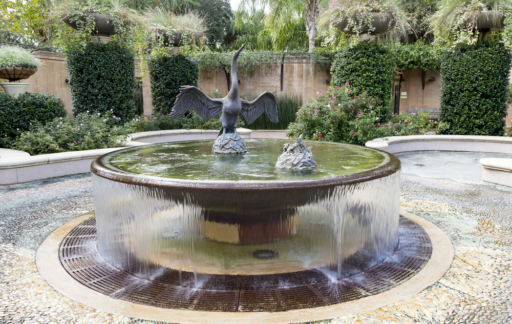 Discover the Beauty of Nature at Jacksonville Zoo and Gardens - Tom ...